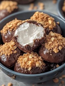 Moose Droppings (Chocolate Peanut Butter Pretzel Bites) – Easy Yum