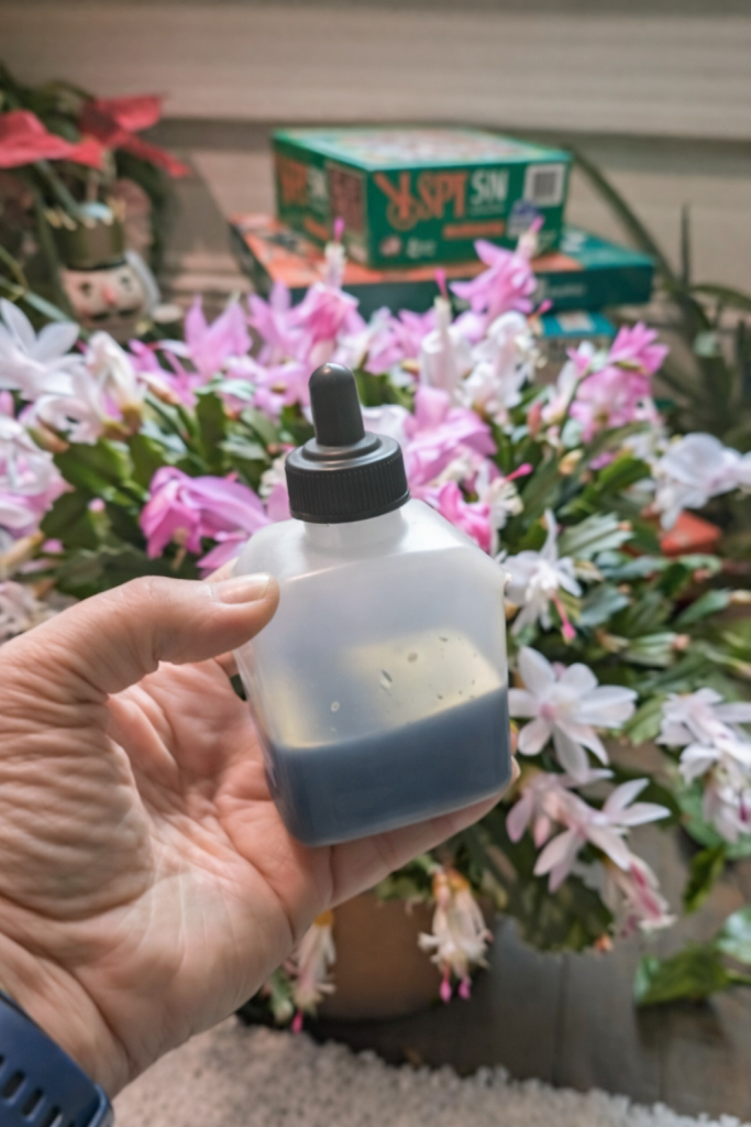 This Liquid Feed Makes Christmas Cactus Bloom Like Crazy 🌵 – Garden Tricks