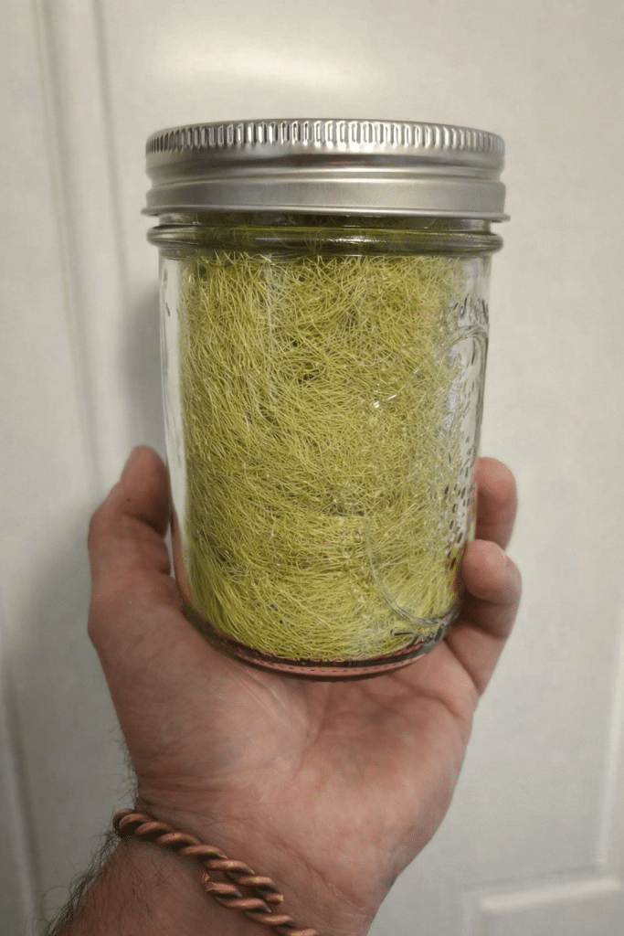 Corn Silk Tea Benefits: What It Supports + How to Make It Safely ...