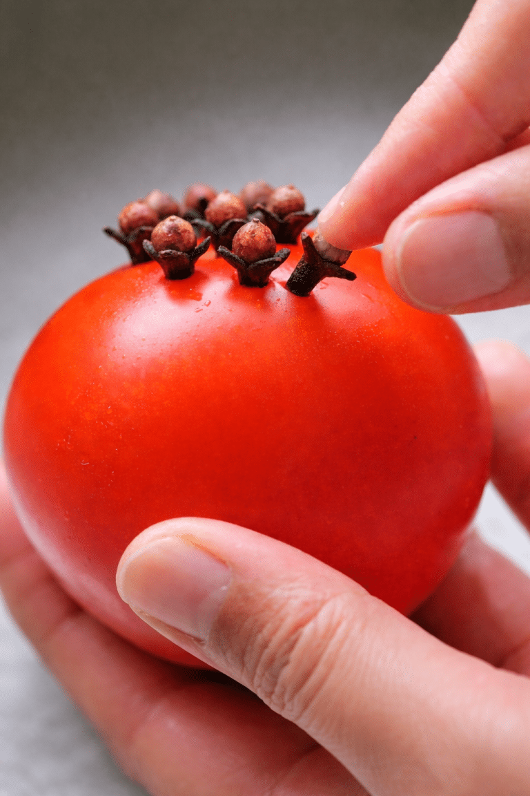 The Clove-in-Tomato Trick That Keeps Bugs Away Naturally (No Chemicals ...